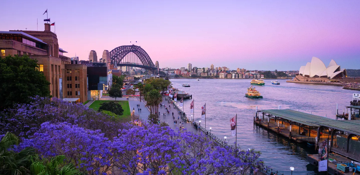 Essential Visitor Information for Business Events in Sydney