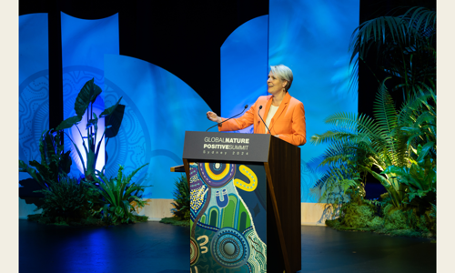 Global Nature Positive Summit 2024 | BESydney
