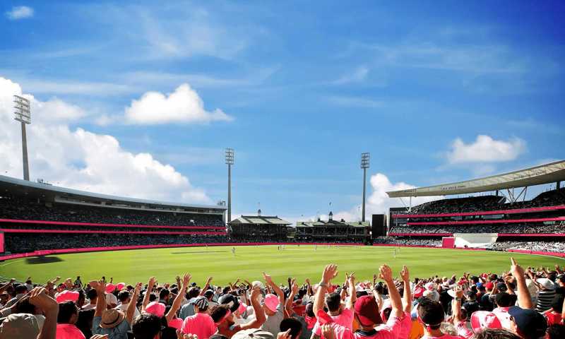 Social Impact Activities to Consider for Your Sydney Corporate ...