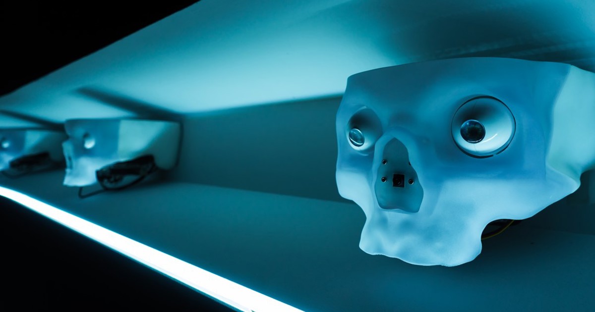 AI and Australia's Talent Pool