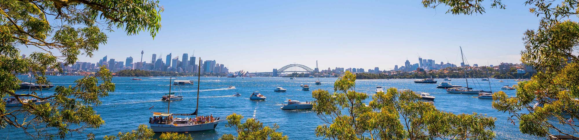 Why Sydney is perfect for your next conference