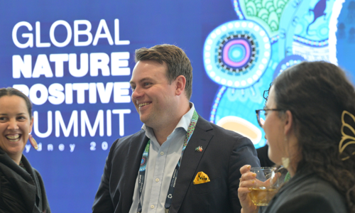 Global Nature Positive Summit 2024 | BESydney